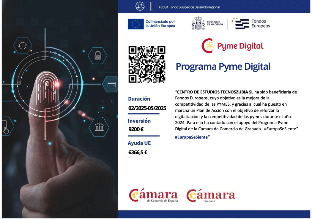 Programa Pyme Digital - TecnosZubia